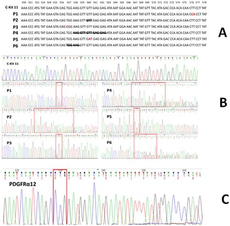 Oncogenic Characteristics Of Synchronous Adenocarcinoma And GIST Download Scientific Diagram