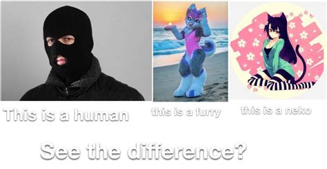 Know The Fucking Difference Meme Scrolller