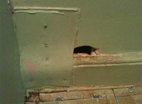 What Does A Rat Hole Look Like Easily Identify A Rat Hole