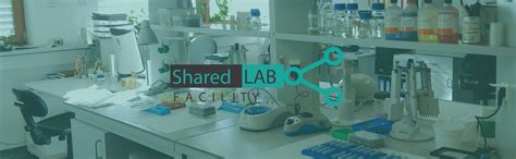 Iiser Bhopal 🏅 Congratulations To The Recipients Of The 2023