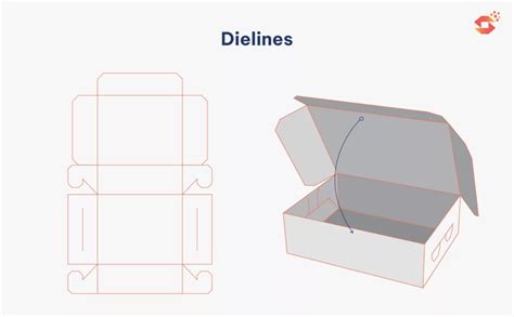 Desain Kemasan Produk Contoh Tips And Tahap Membuat