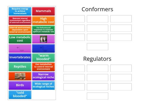 Conformers And Regulators Group Sort