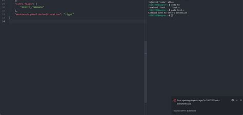 EntryNotFound REMOTE COMMANDS Flag Issue SchoofsKelvin Vscode Sshfs GitHub