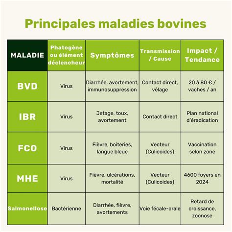 Santé Des Bovins Mieux Connaître Les Maladies Des Bovins Pour Une