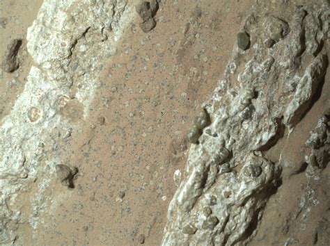 Perseverance Finds Signs Of Ancient Life On Mars Whats Behind The
