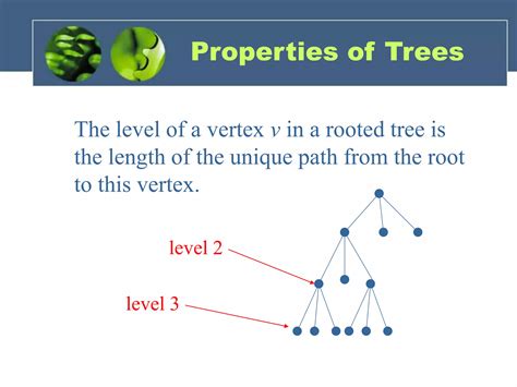 discrete mathematics tree pptx