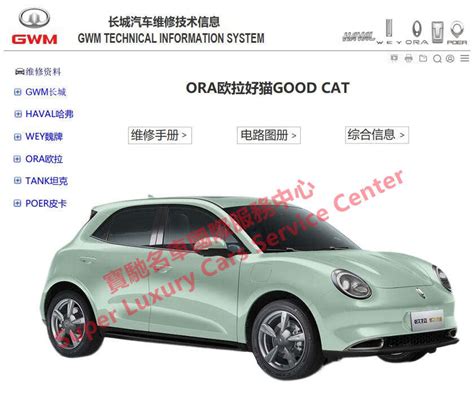 Gwm Ora Ev Workshop Service Repair Manuals Wiring Diagram Super Luxury Cars Service Center