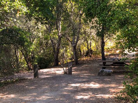 Henry Cowell Redwood State Park Campground Roadside Secrets