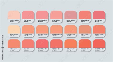 Salmon Color Palette Salmon Color Guide Palette With Color Names Catalog Samples Of Salmon And