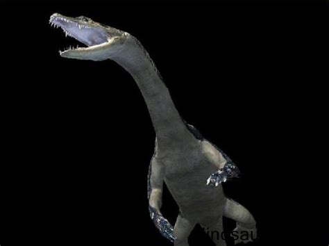 Nothosaurus Dinosaur