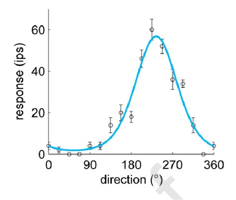 Direction Tuning In Area 1 This Neuron Responds Most Strongly To An Download Scientific