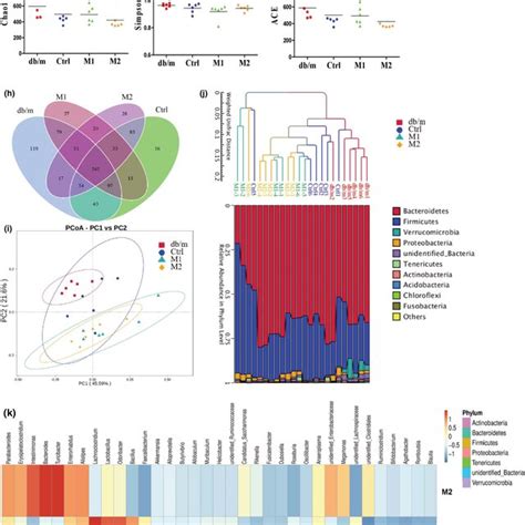 Microbiome Analysis Of The Fecal Samples Fresh Fecal Samples Of Each Download Scientific