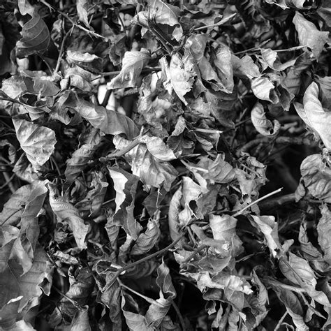 Ray Hedgess Instagram Twitter And Facebook On Idcrawl