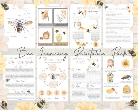 Natural Bee Study Printable Pack Of 12 Etsy