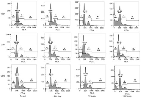 Facs Analysis Measured Percentage Of Cells In The Sub G1 Dead Cells