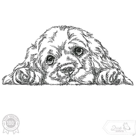 Cockapoo Coloring Pages