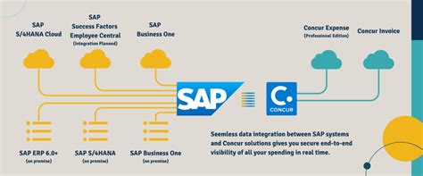 Effortless Integration Of Sap Concur Software Blueoceansystems