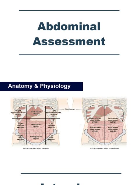Comprehensive Abdominal Assessment Guide Pdf Abdomen Medical