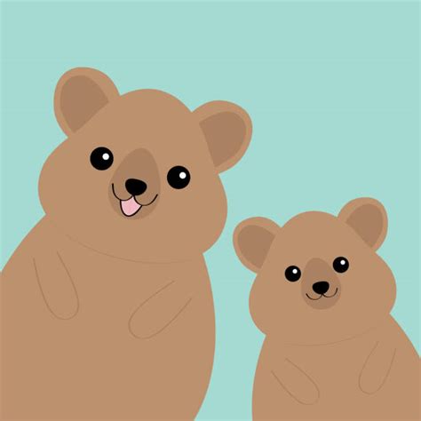 620 Quokka Stock Illustrations Royalty Free Vector Graphics And Clip