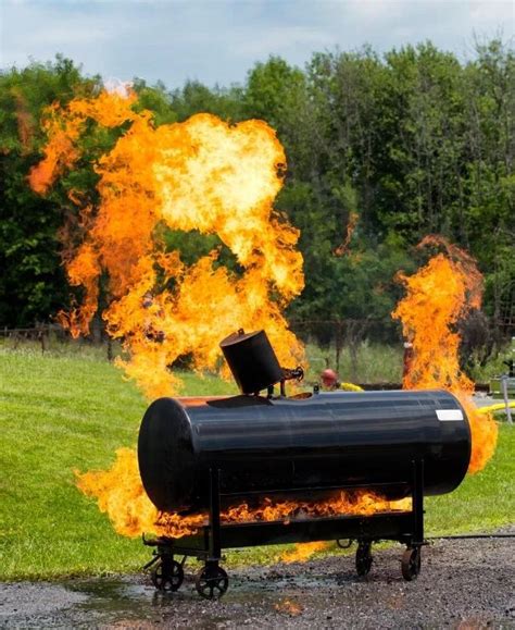 Lion Lionprotects Firesafety Firefighting Andrew Dabrowski