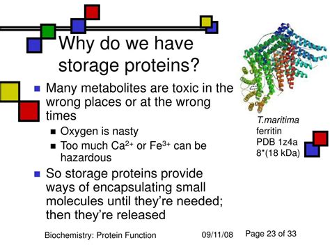 Ppt Protein Function Powerpoint Presentation Free Download Id5488482