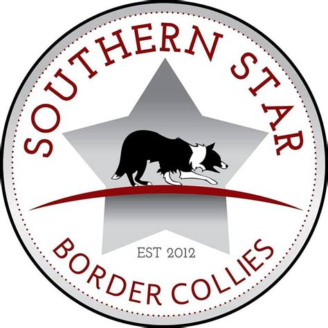 Todd Anderson On Reels Facebook