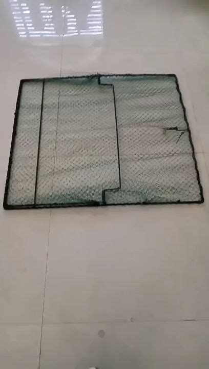 40 50 60cm Bird Hunting Trap Net Chicken Catcher Trap Net Quail Humane