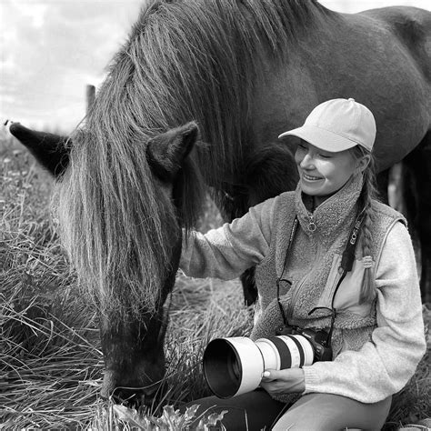 Mattilsynet Svarer På Spørsmål Om Ansvar Ved Transport Av Hest