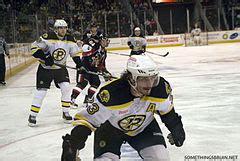 Categorycorey Locke Wikimedia Commons