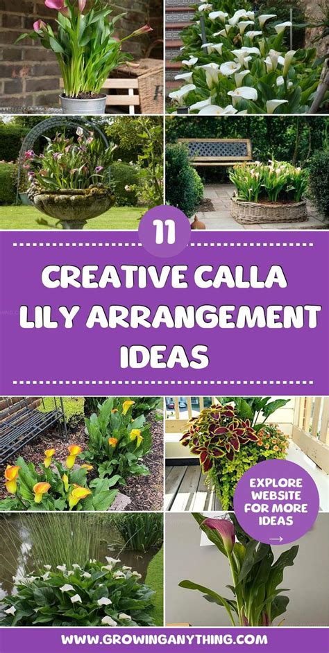 11 Elegant Calla Lily Arrangement Ideas For Every Occasion Garden
