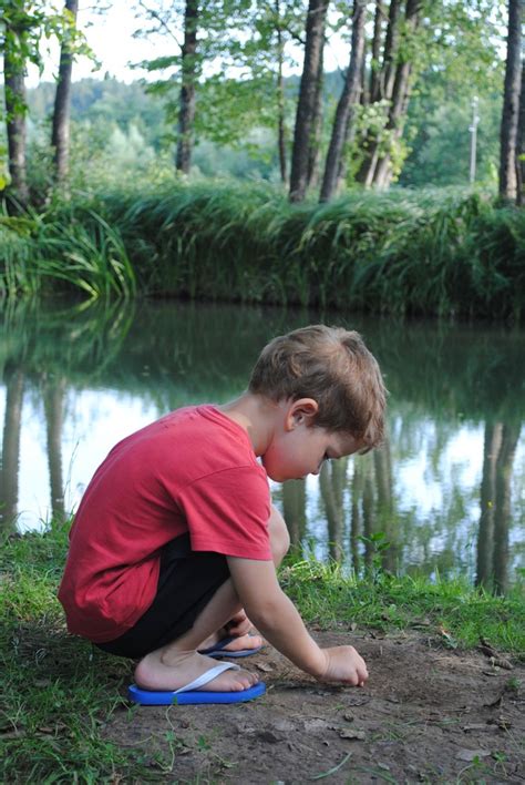 Dan Sonca 2014 Galerija Dan Sonca