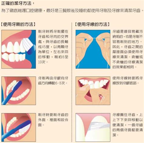 國立臺北護理健康大學高齡健康與長期照顧知識網 高齡健康 口腔保健小叮嚀