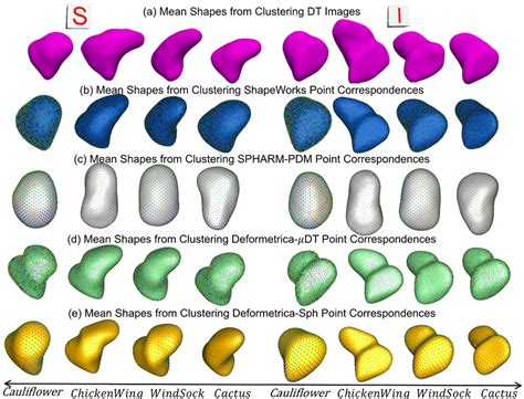The Mean Shapes From K Means Clustering S Superior And I Inferior