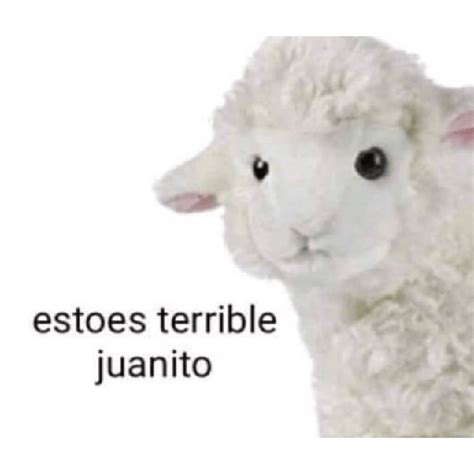 🤠🍟memes Chisyosos🍟🤠