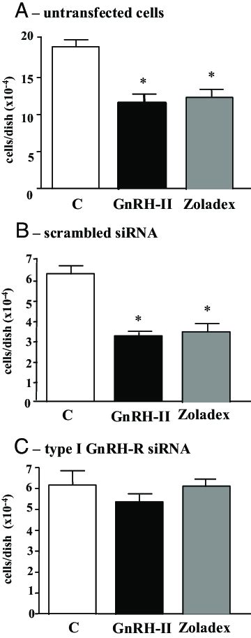Effects Of Type I Gnrh R Silencing On Camp Accumulation Pc3 Cells Were