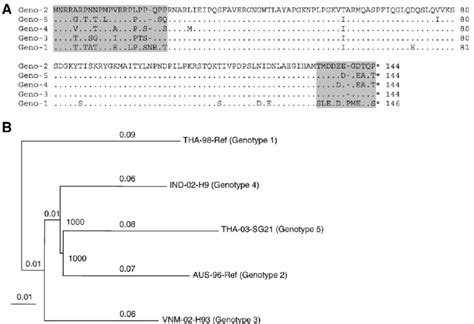 A Clustalx Multiple Alignment Of The Deduced Amino Acid Sequences Of