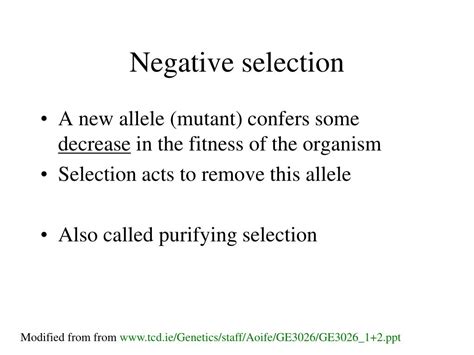 Ppt Positive Selection Powerpoint Presentation Free Download Id