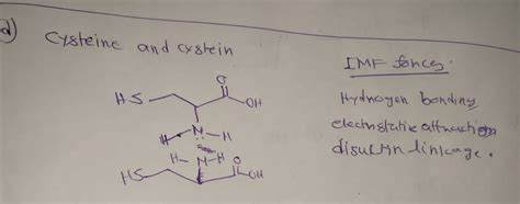 [solved] 1 What Type Of Intermolecular Forces Exists Between The Side Course Hero