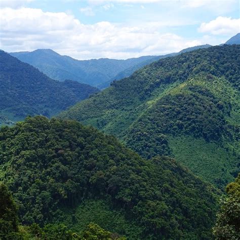 Annamese Mountains