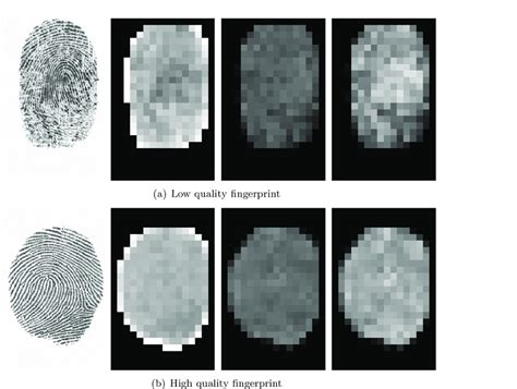 20 estimation of fingerprint quality using gray level statistics for