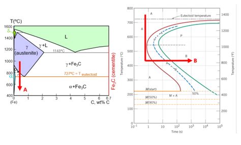 Solved Draw The Final Microstructure And Name The Phases Chegg
