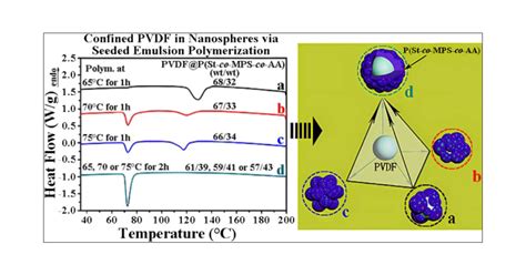 Surface Nucleation Induced Raspberry Like Pvdfpst Co Mps Co Aa Coreshell Latex Particles Via