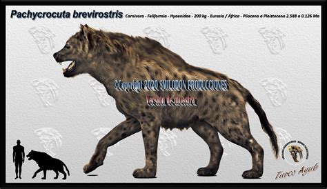 Smilodon La Hiena Gigante Pachycrocuta Brevirostris Es Una Especie