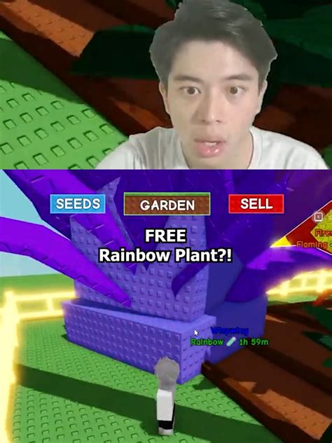 Cara Mendapatkan Rainbow Plant Di Roblox Tiktok