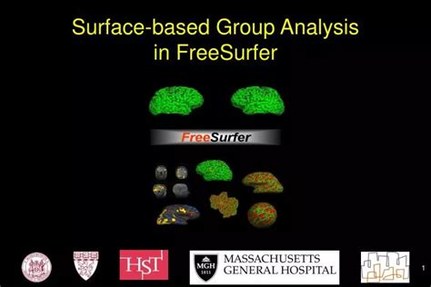 Ppt Surface Based Group Analysis In Freesurfer Powerpoint Presentation Id3218546