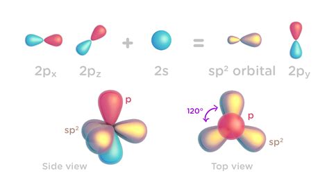 Sp2 Orbitals