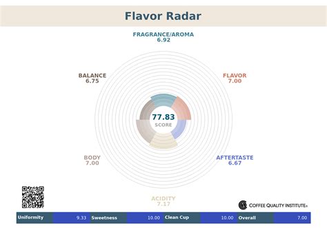 Home Q Coffee System