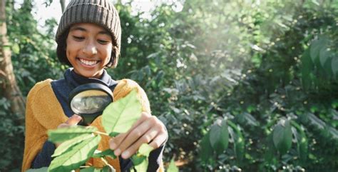 Stem Conservation Education Tandem Global