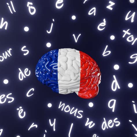 French Learning Foreign Language Fluency Improvement Human Brain