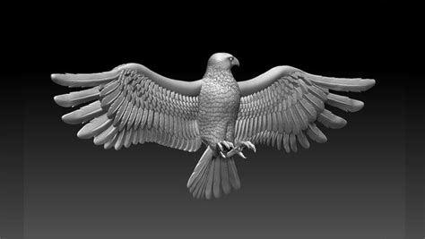 3d Eagle Model Turbosquid 1957599